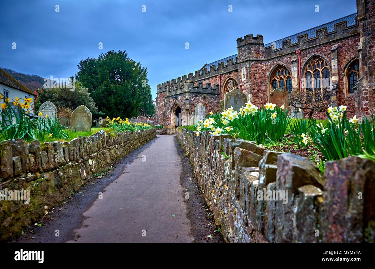William de mohun of dunster hi-res stock photography and images - Alamy