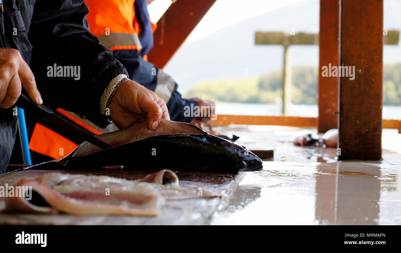 Raw angler fish hi-res stock photography and images - Alamy