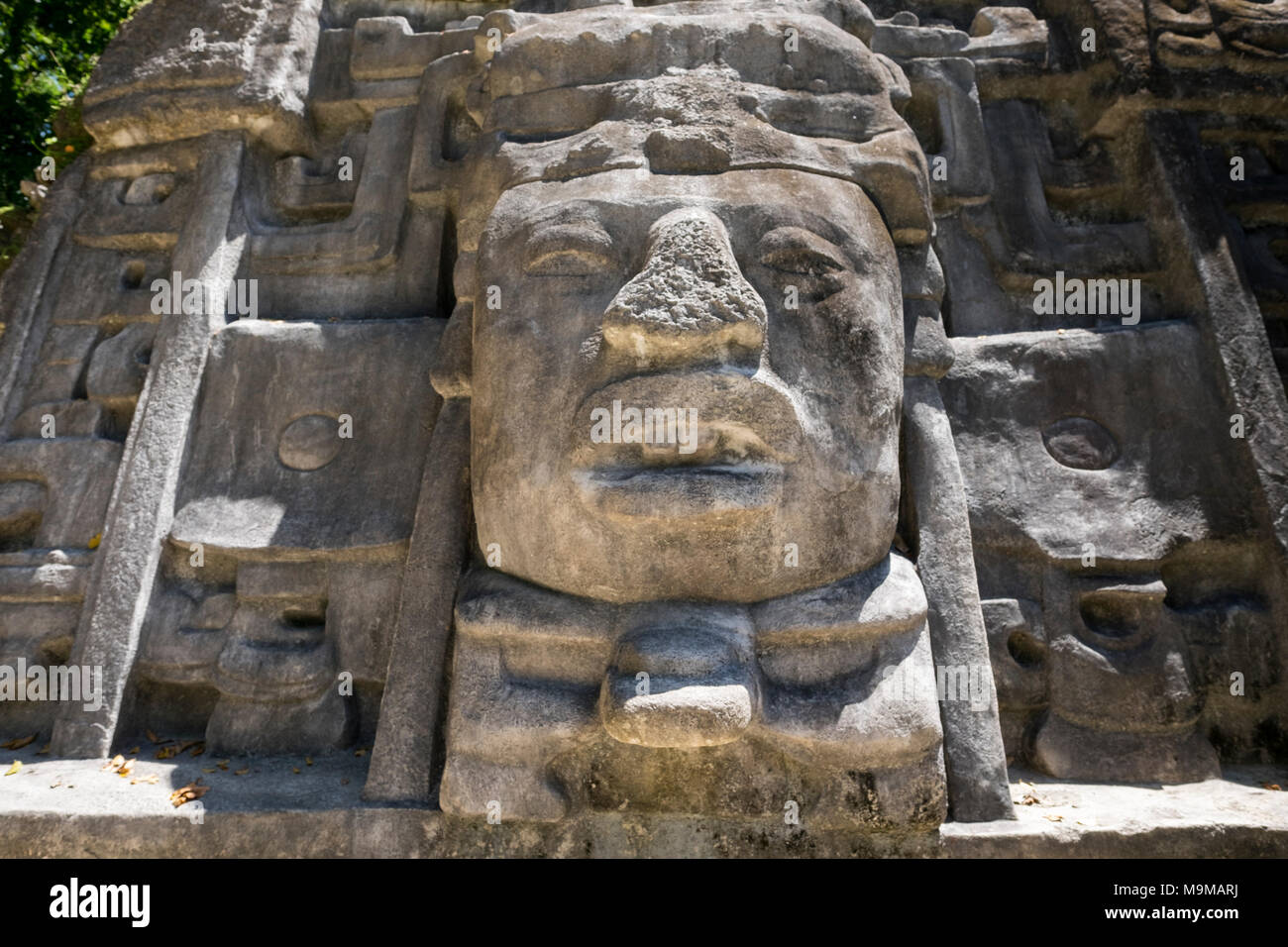 Ancient Mayan carved stone mask of a god at the ruins of Lamanai ...