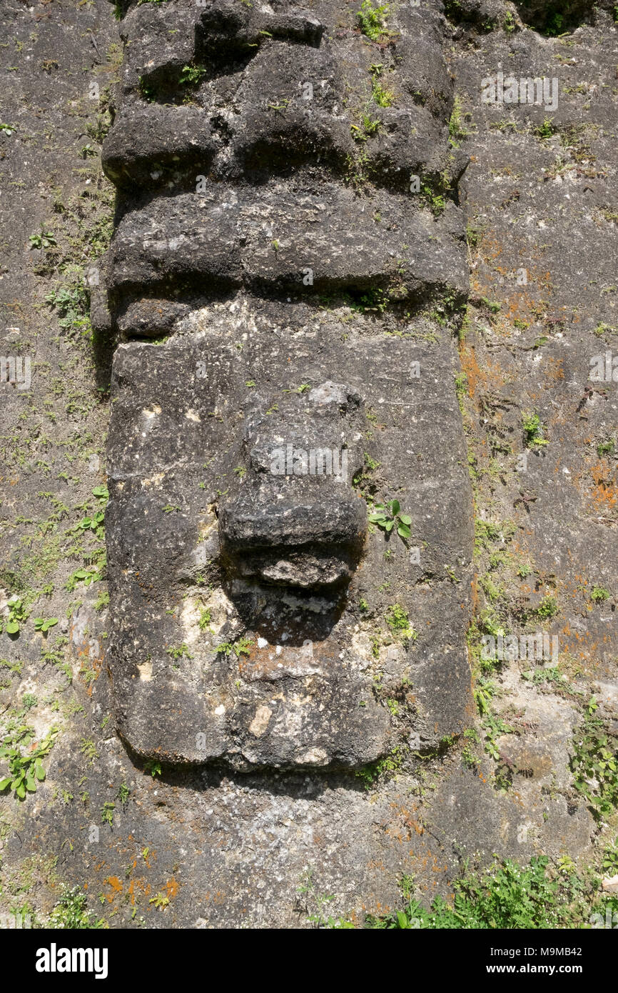 Ancient Mayan carved stone mask of a god at the ruins of Lamanai ...
