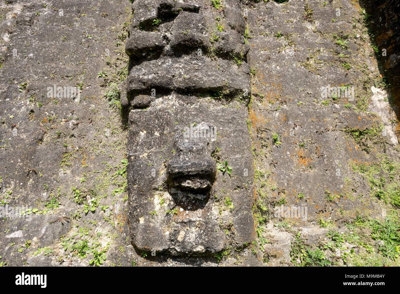 Ancient Mayan carved stone mask of a god at the ruins of Lamanai ...