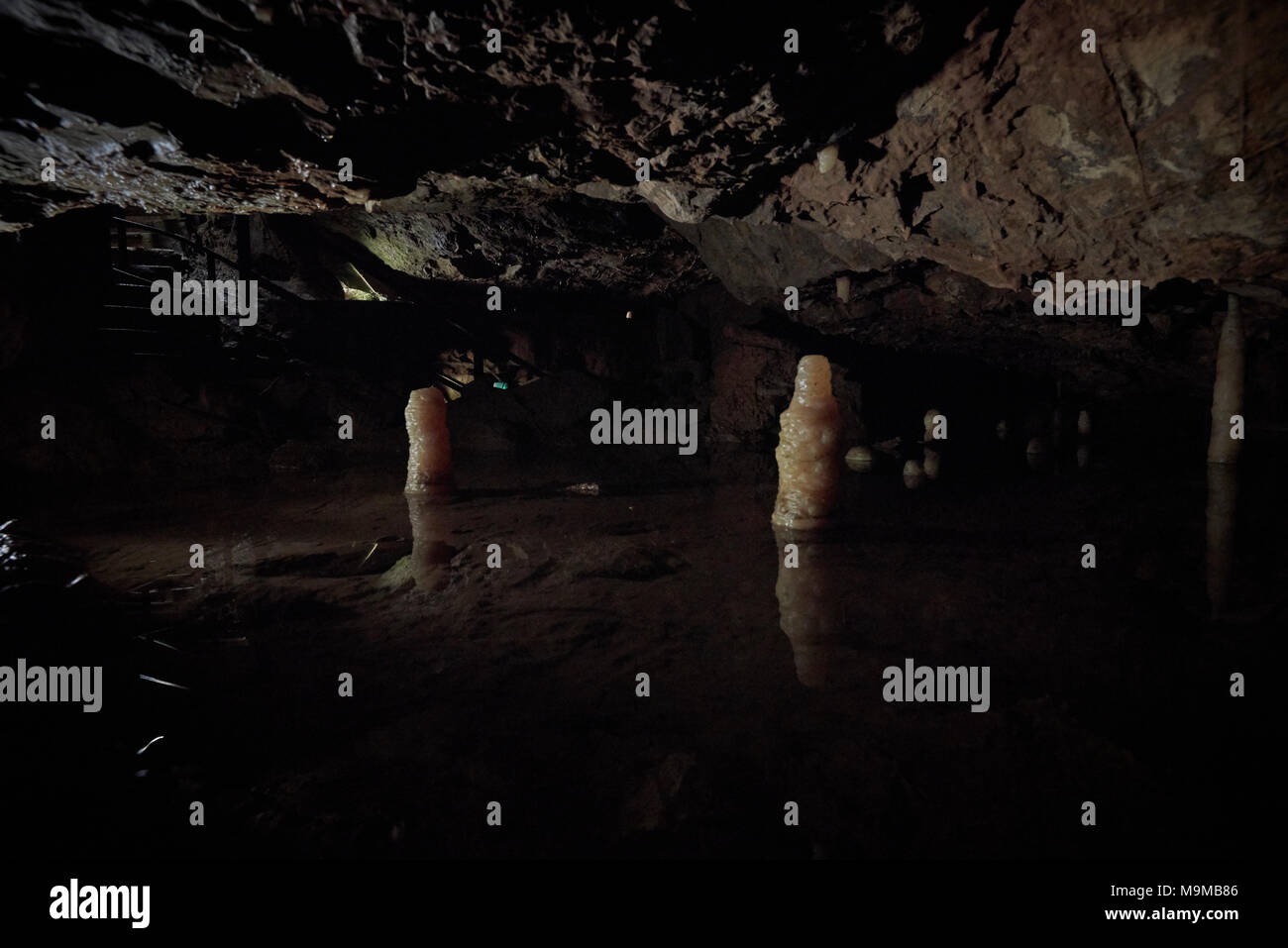 Cheddar man face hi-res stock photography and images - Alamy