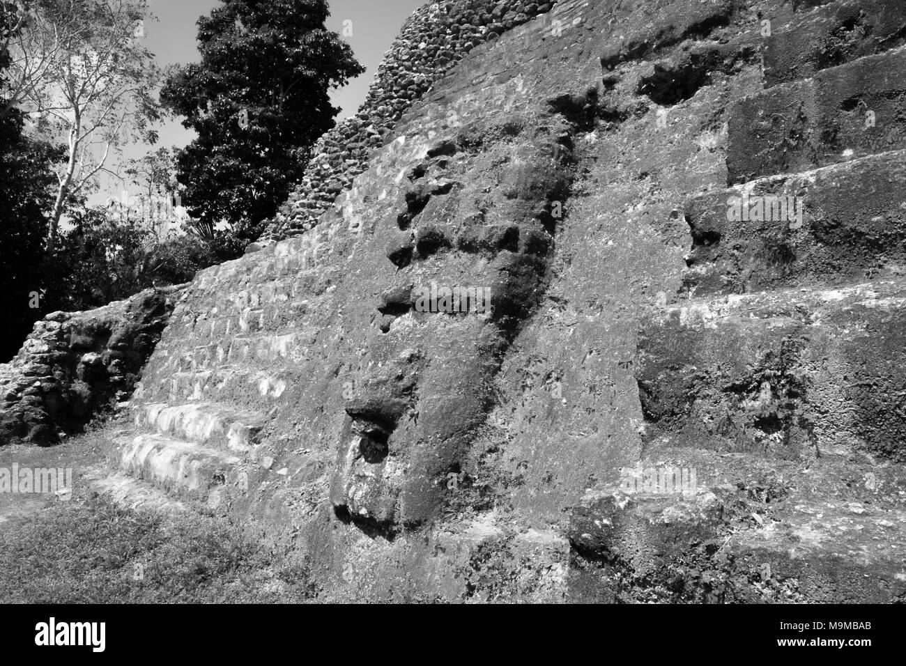 Ancient Mayan carved stone mask of a god at the ruins of Lamanai ...