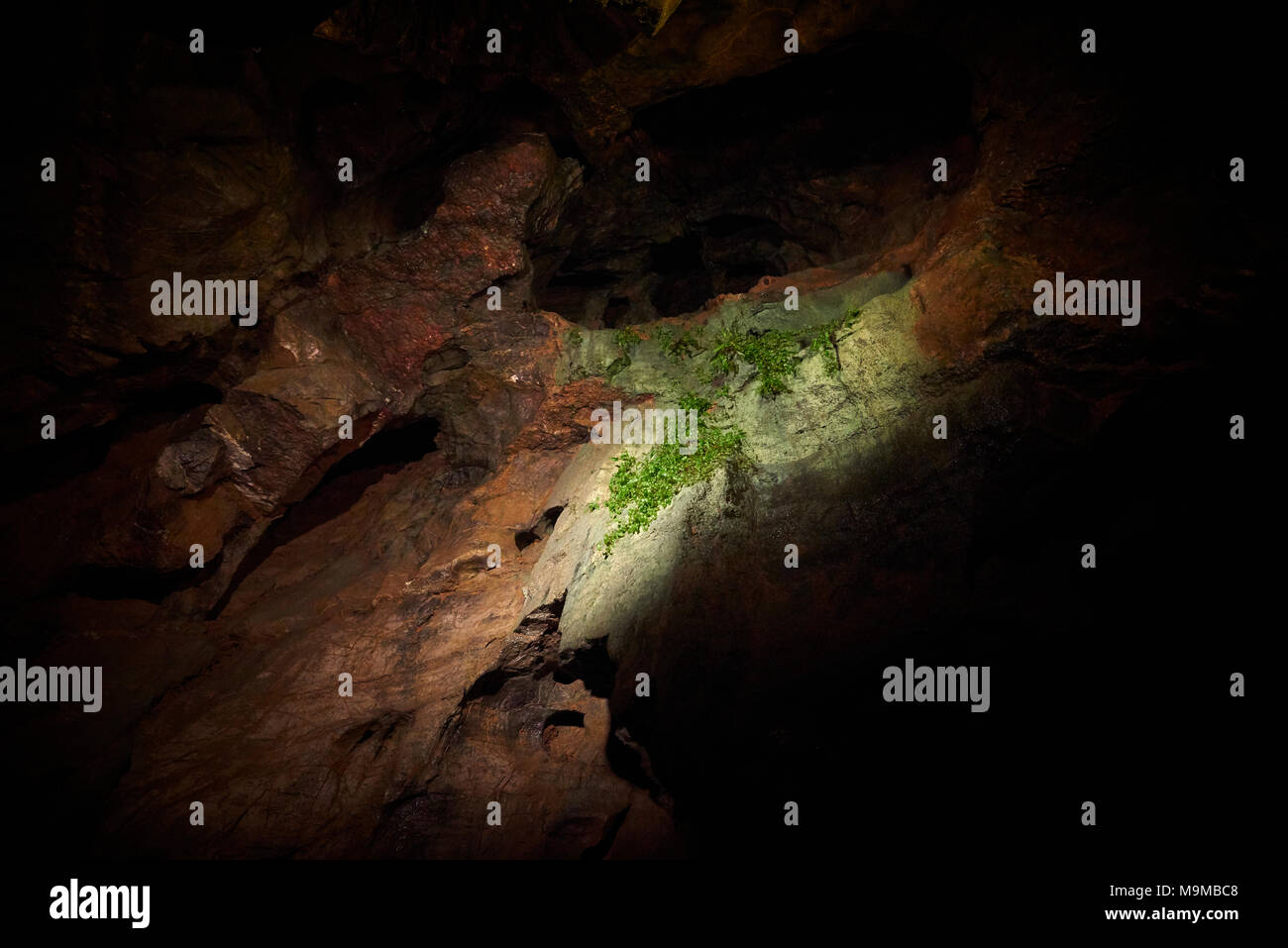 Cheddar man cave hi-res stock photography and images - Alamy