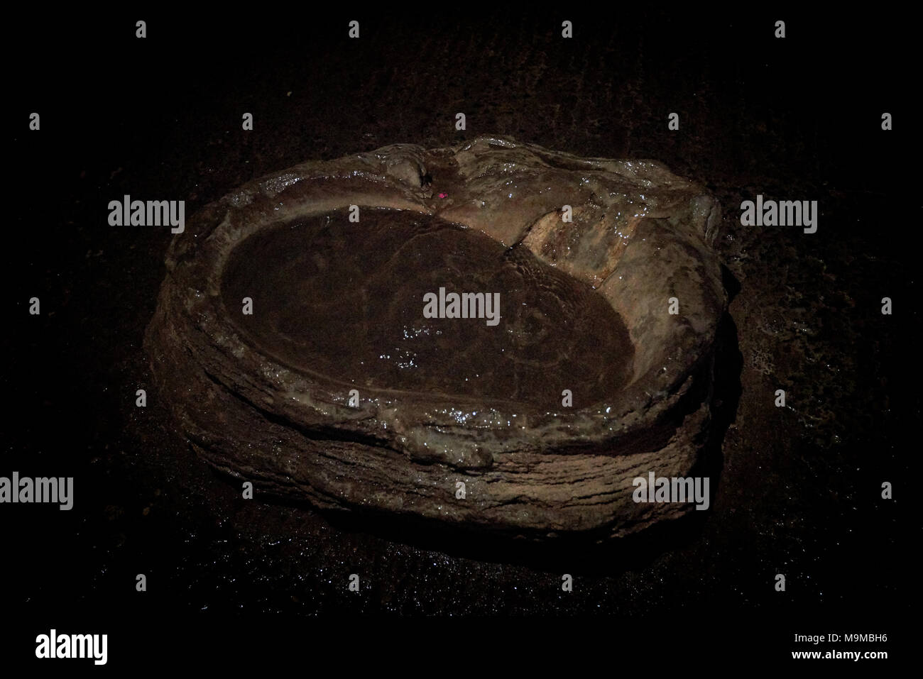 Cheddar man cave hi-res stock photography and images - Alamy