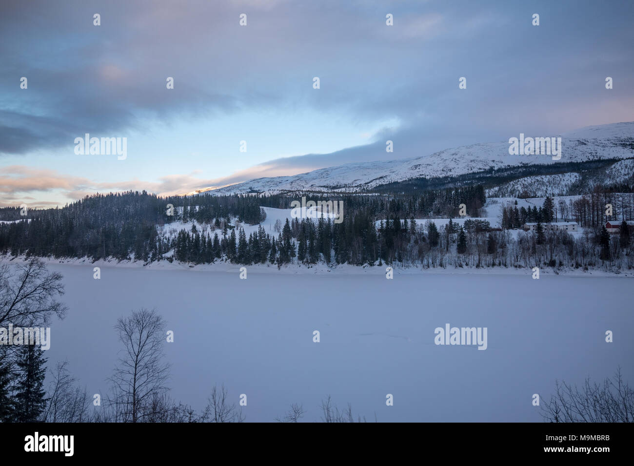 Bodo train norway hi-res stock photography and images - Alamy