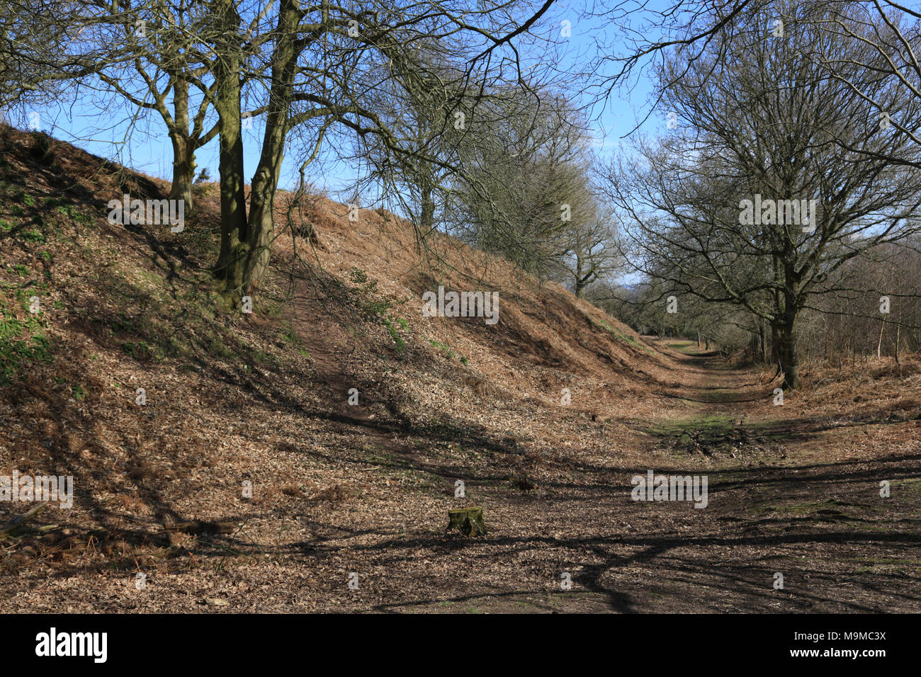Earthworks at the Iron age hill fort on Kinver edge, Staffordshire, uk ...