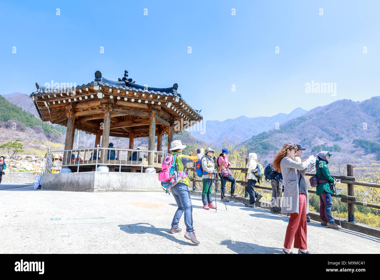 Gurye, South Korea - March 26, 2018 : Scenery of Cornus officinalis ...