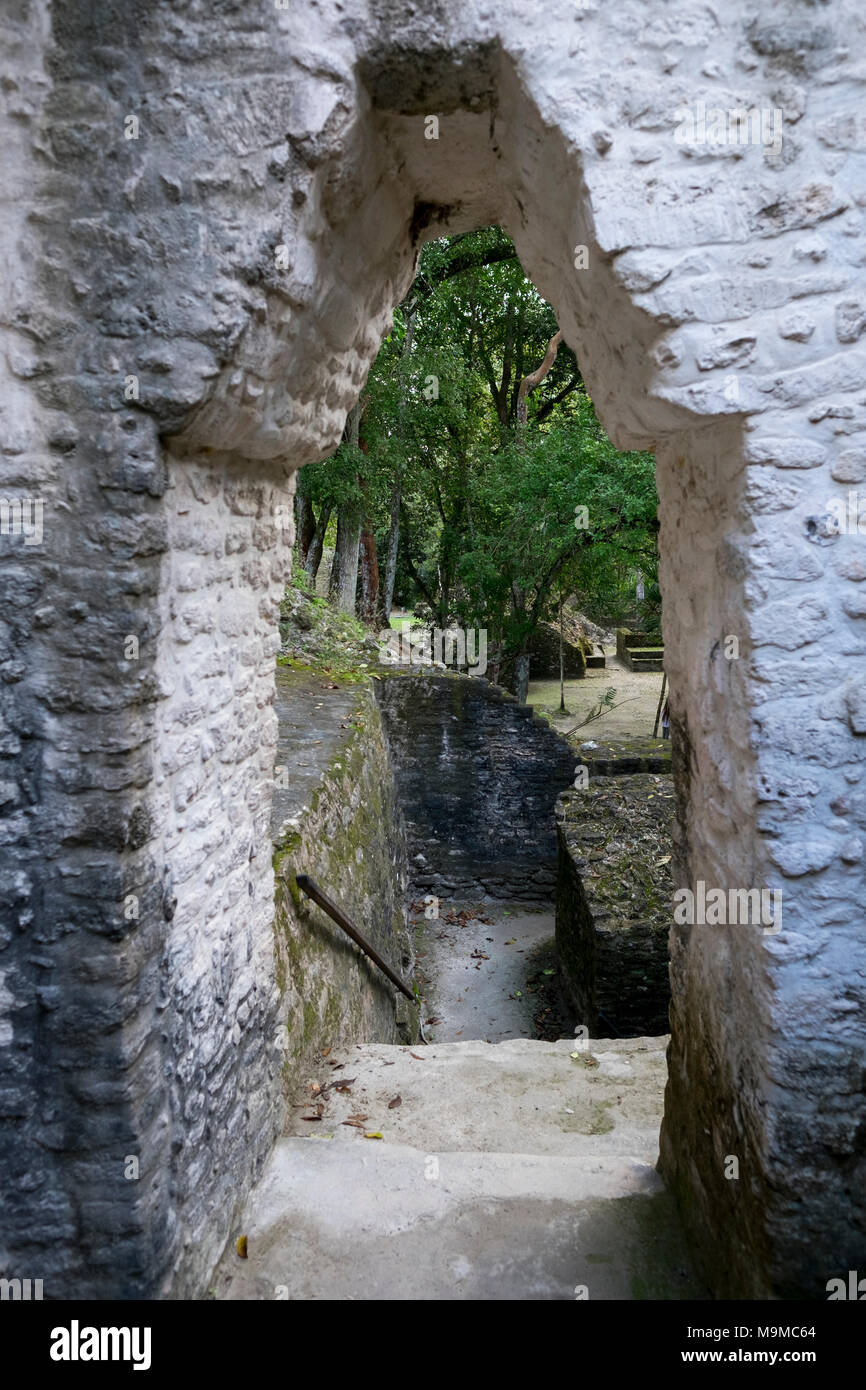 Corbel arched doorways in a Mayan ruin in Cahel Pech, Belize Stock ...