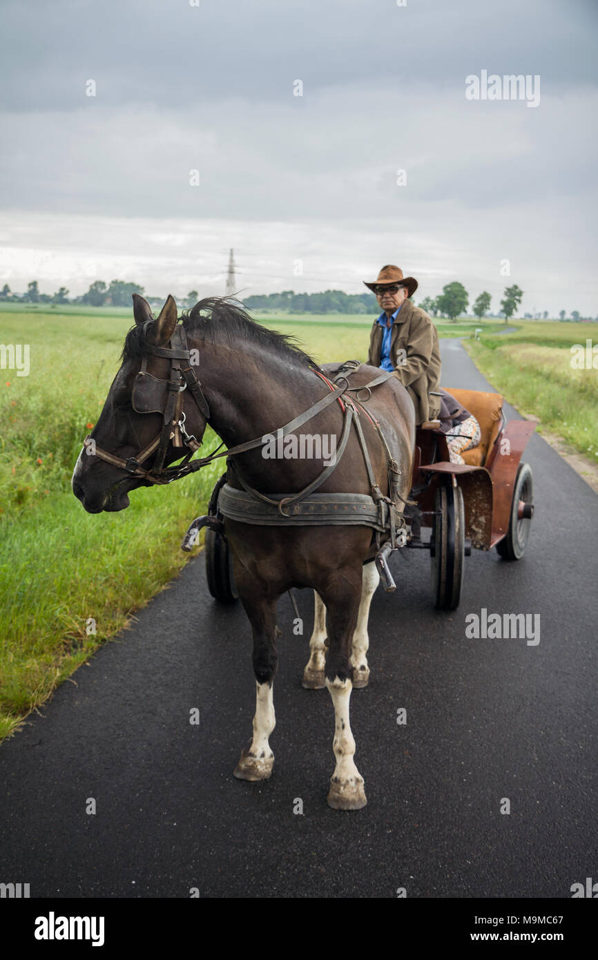 One horse carriage hi-res stock photography and images - Alamy