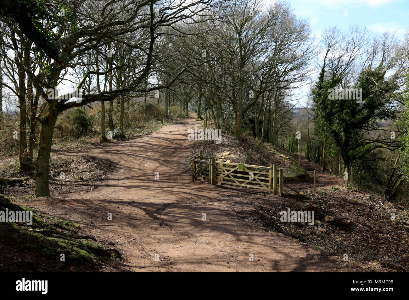 One of the many public paths on Kinver edge, an area of natural beauty ...