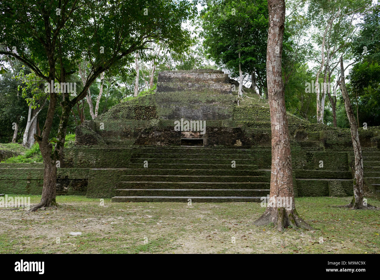 Ancient Mayan ruins of Cahel Pech, Belize including a temple and ...