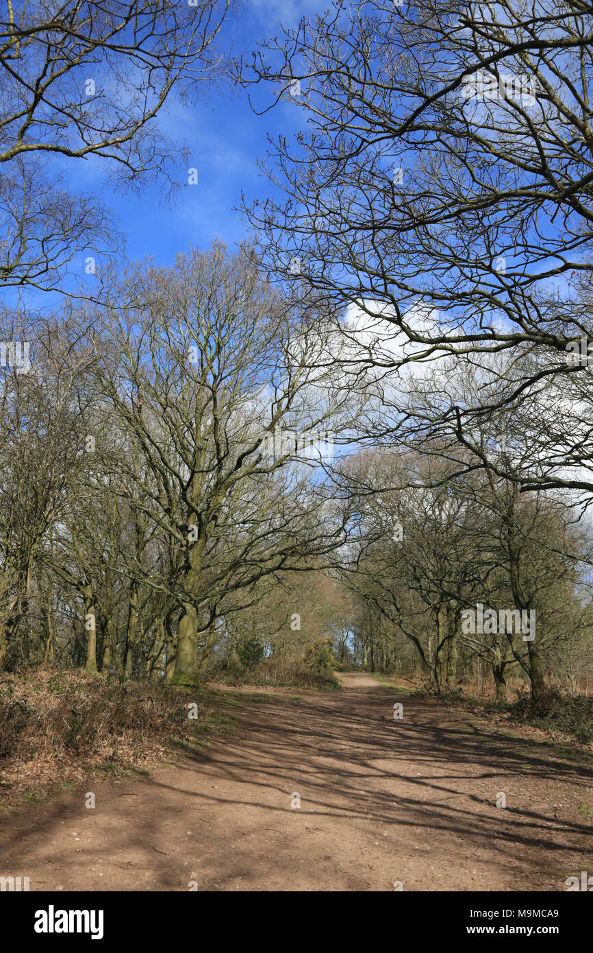 One of the many public paths on Kinver edge, an area of natural beauty ...