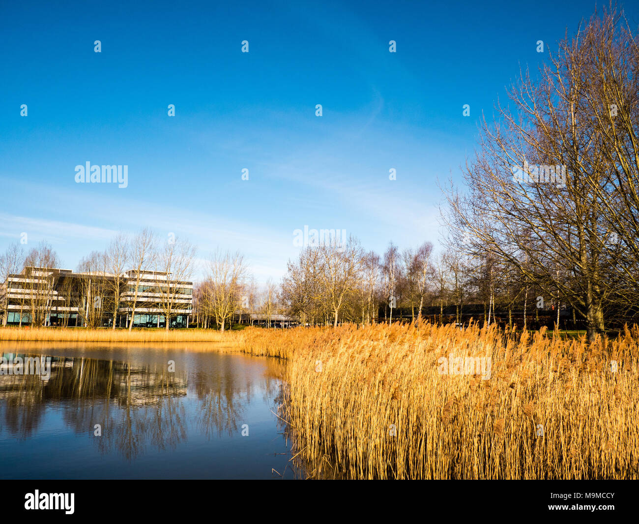 Berkshire tech hub hi-res stock photography and images - Alamy