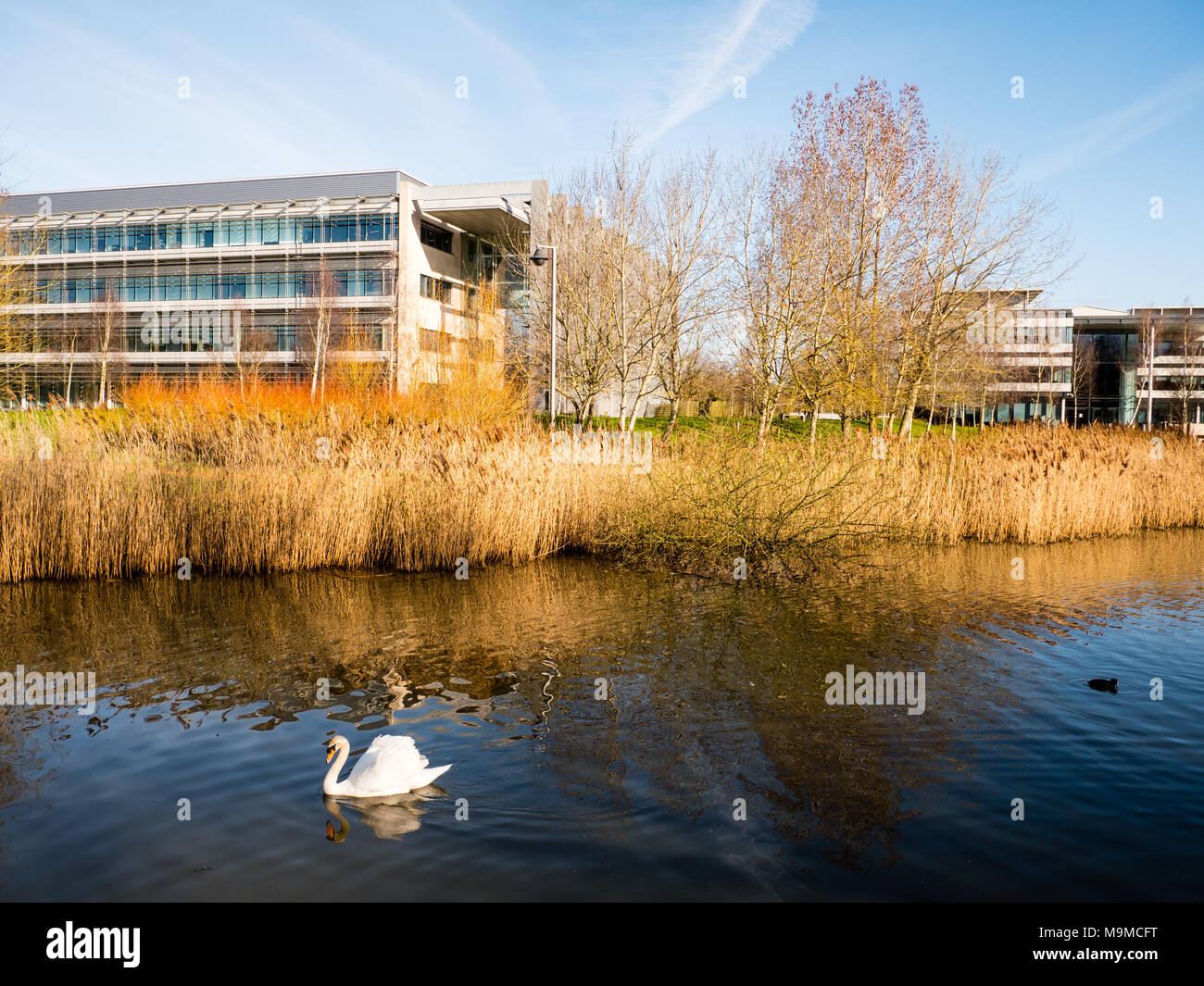 Cisco Systems Ltd, Green Park Business Park, Reading, Berkshire, England, UK. GB Stock Photo - Alamy