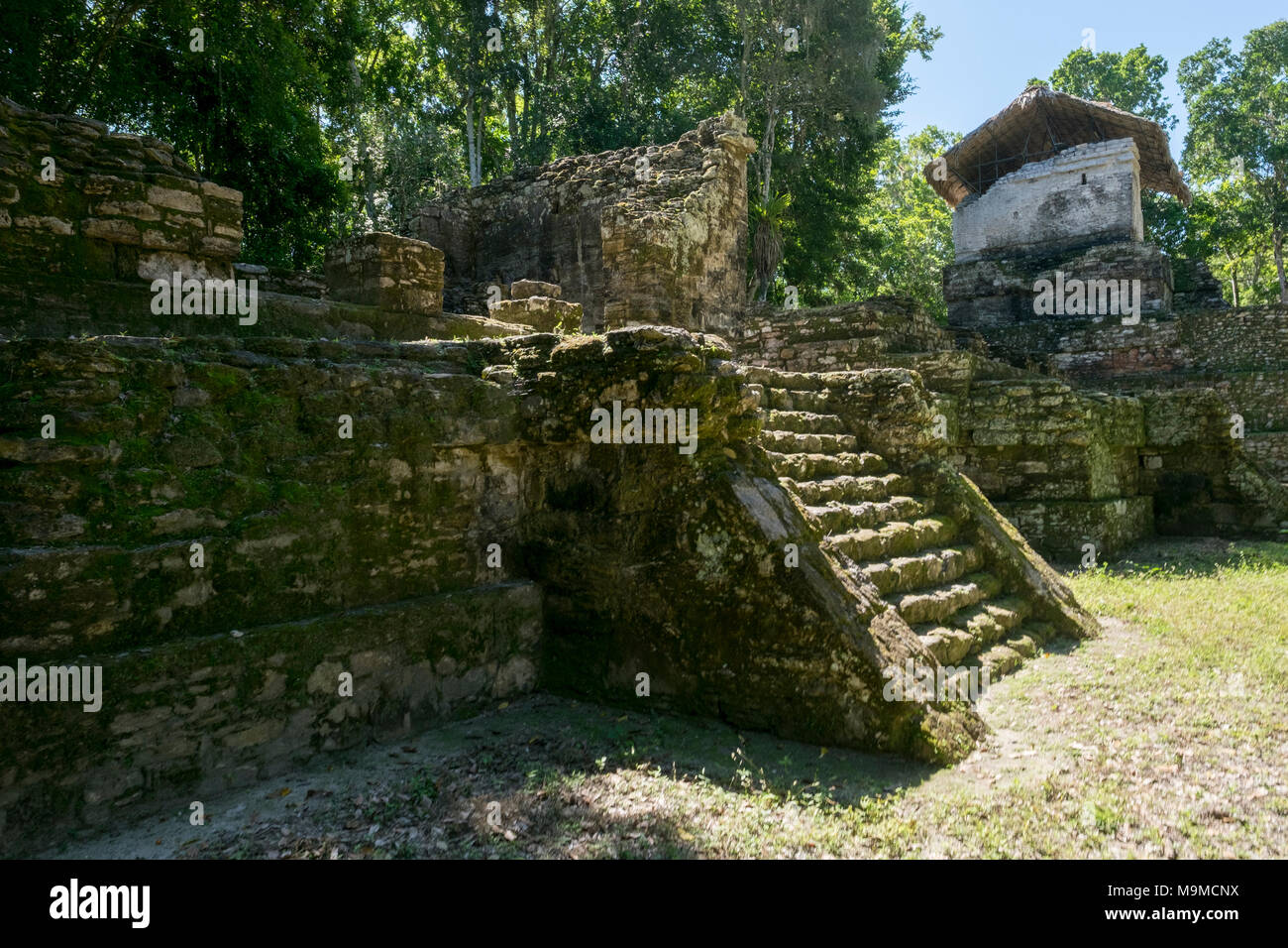 Ancient Mayan ruins and temples of Topoxte Island, Guatemala Stock ...