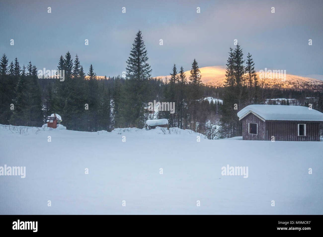 Norway trondheim bodo train hi-res stock photography and images - Alamy