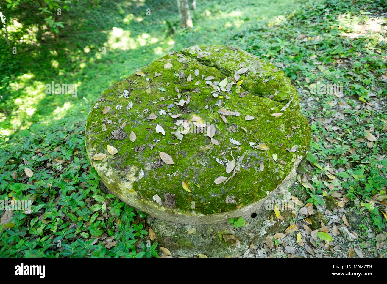 Ancient Mayan ruins and temples of Topoxte Island, Guatemala Stock ...