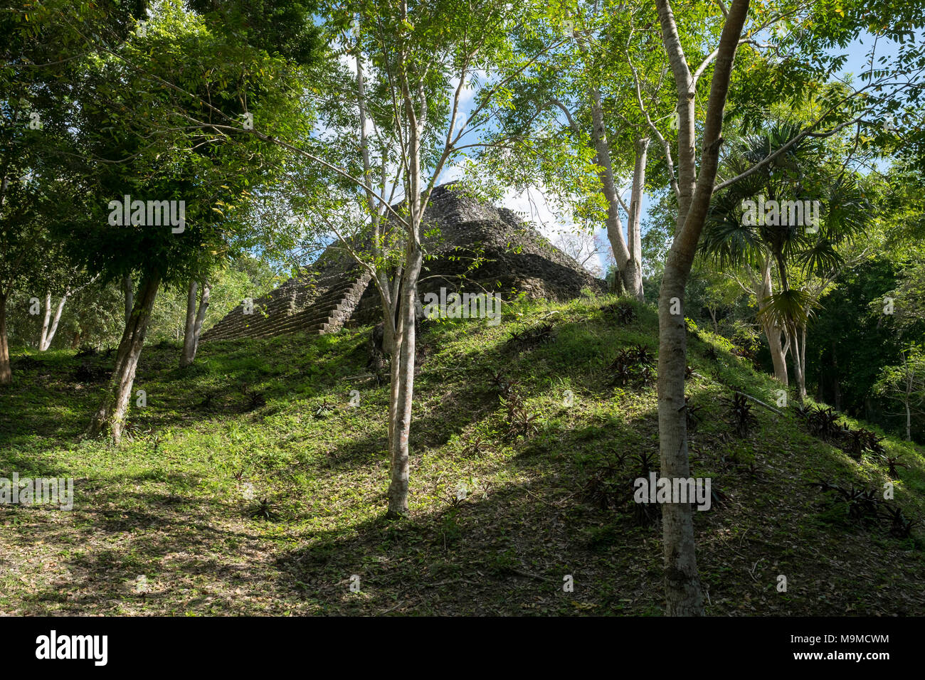Ancient mounds covering buildings beneath from the Mayan archeological ...
