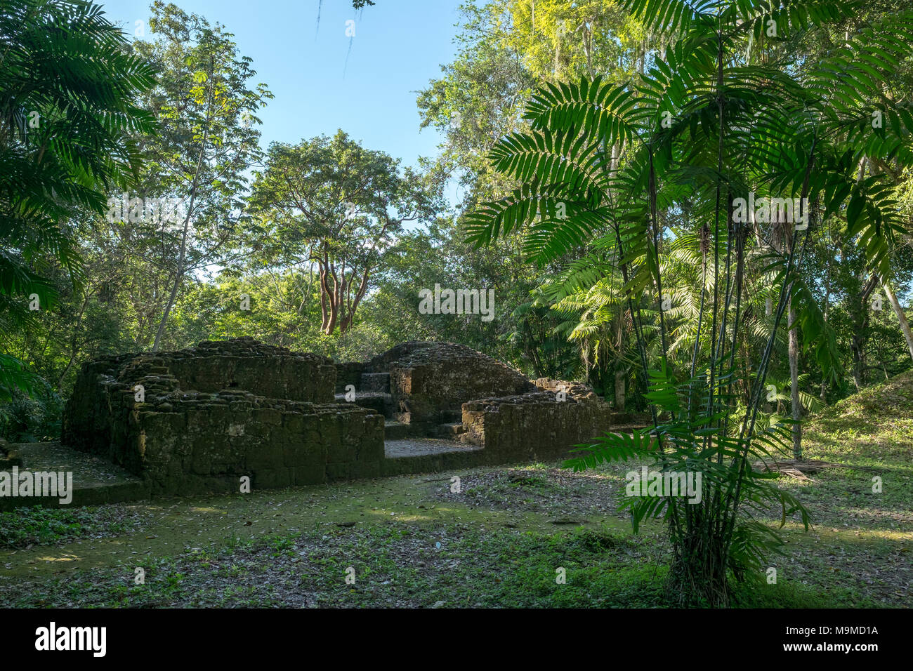 Ancient ruins from the Mayan archeological site in Yaxha, Guatemala ...