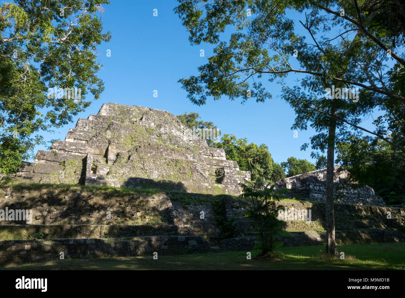 Ancient ruins from the Mayan archeological site in Yaxha, Guatemala ...