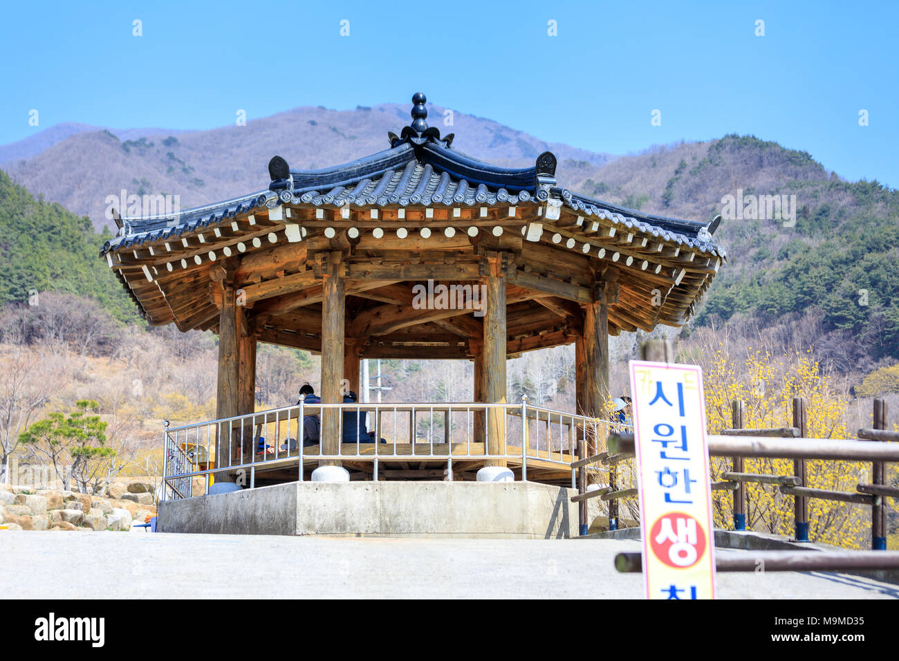 Gurye, South Korea - March 26, 2018 : Scenery of Cornus officinalis ...