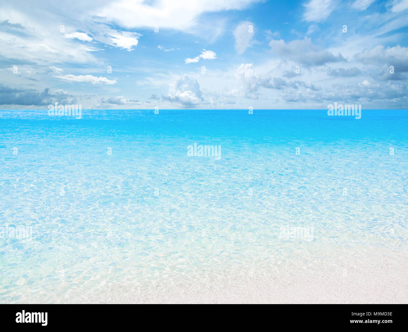 Tropical summer beach Stock Photo - Alamy