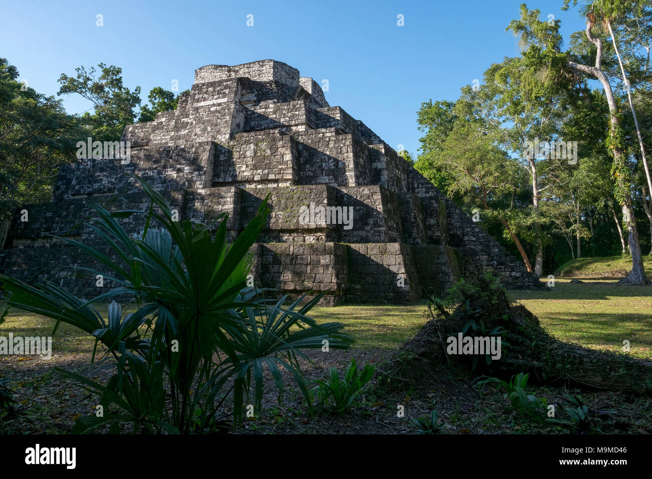 Ancient ruins from the Mayan archeological site in Yaxha, Guatemala ...