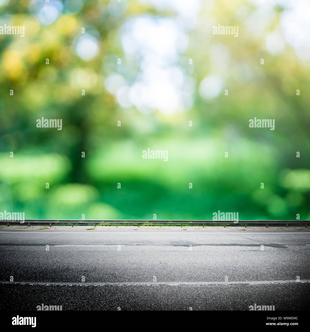 Green forest road background Stock Photo - Alamy