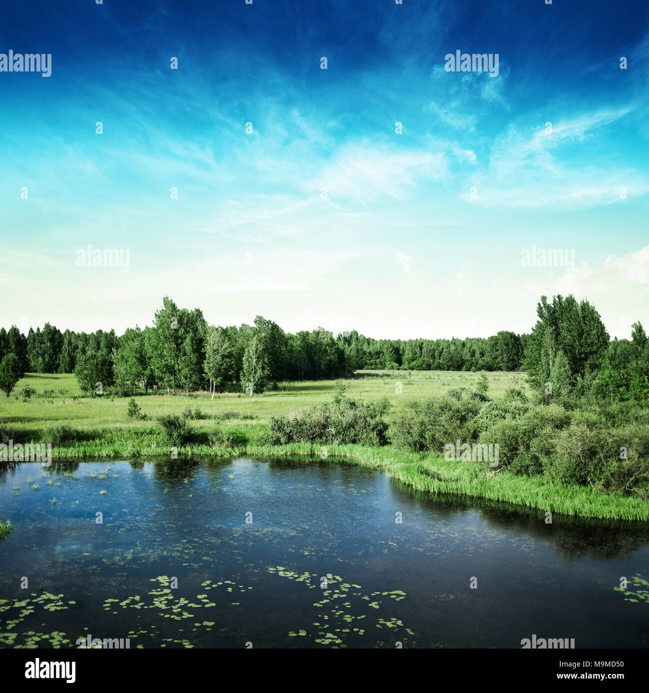 Field forest and meadow landscape hi-res stock photography and images ...