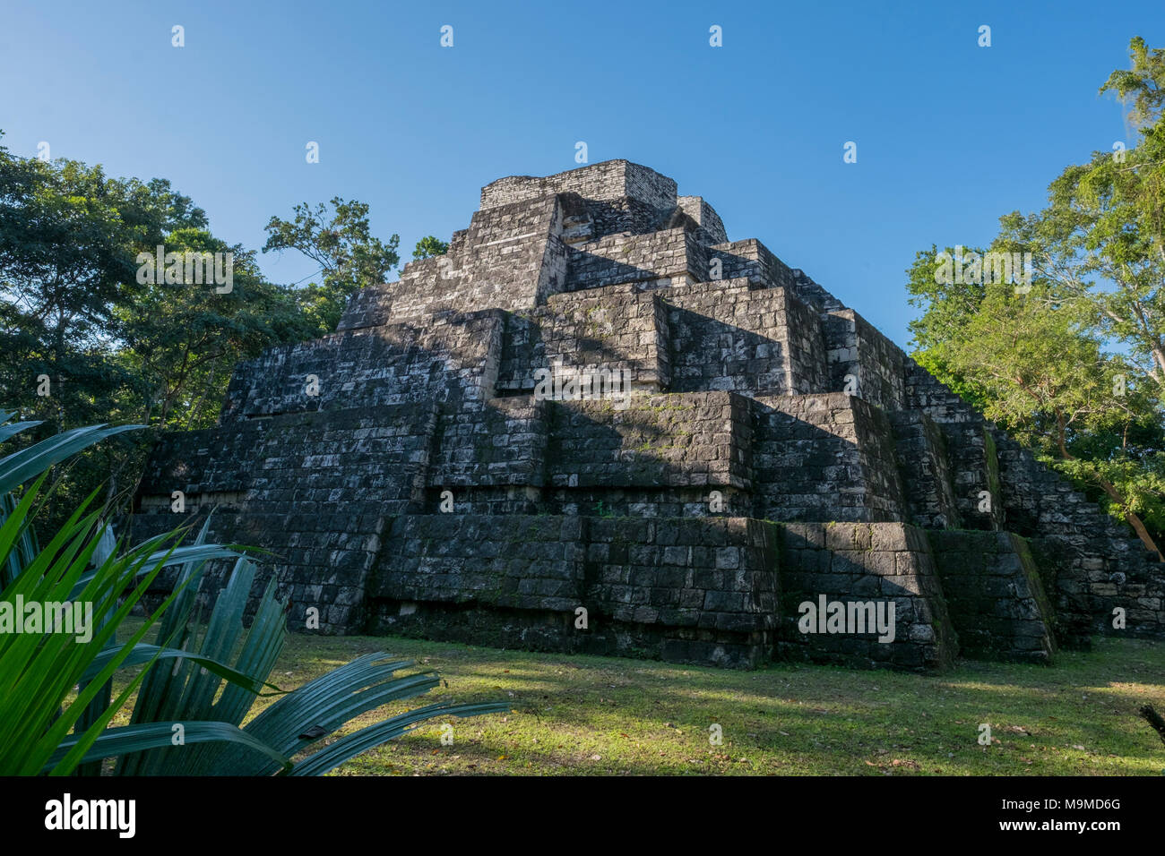 Ancient ruins from the Mayan archeological site in Yaxha, Guatemala ...