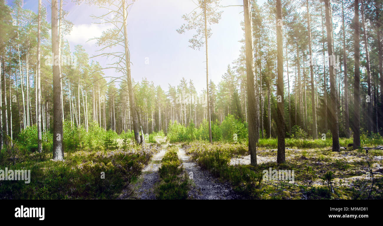 Summer road outdoor landscape Stock Photo - Alamy