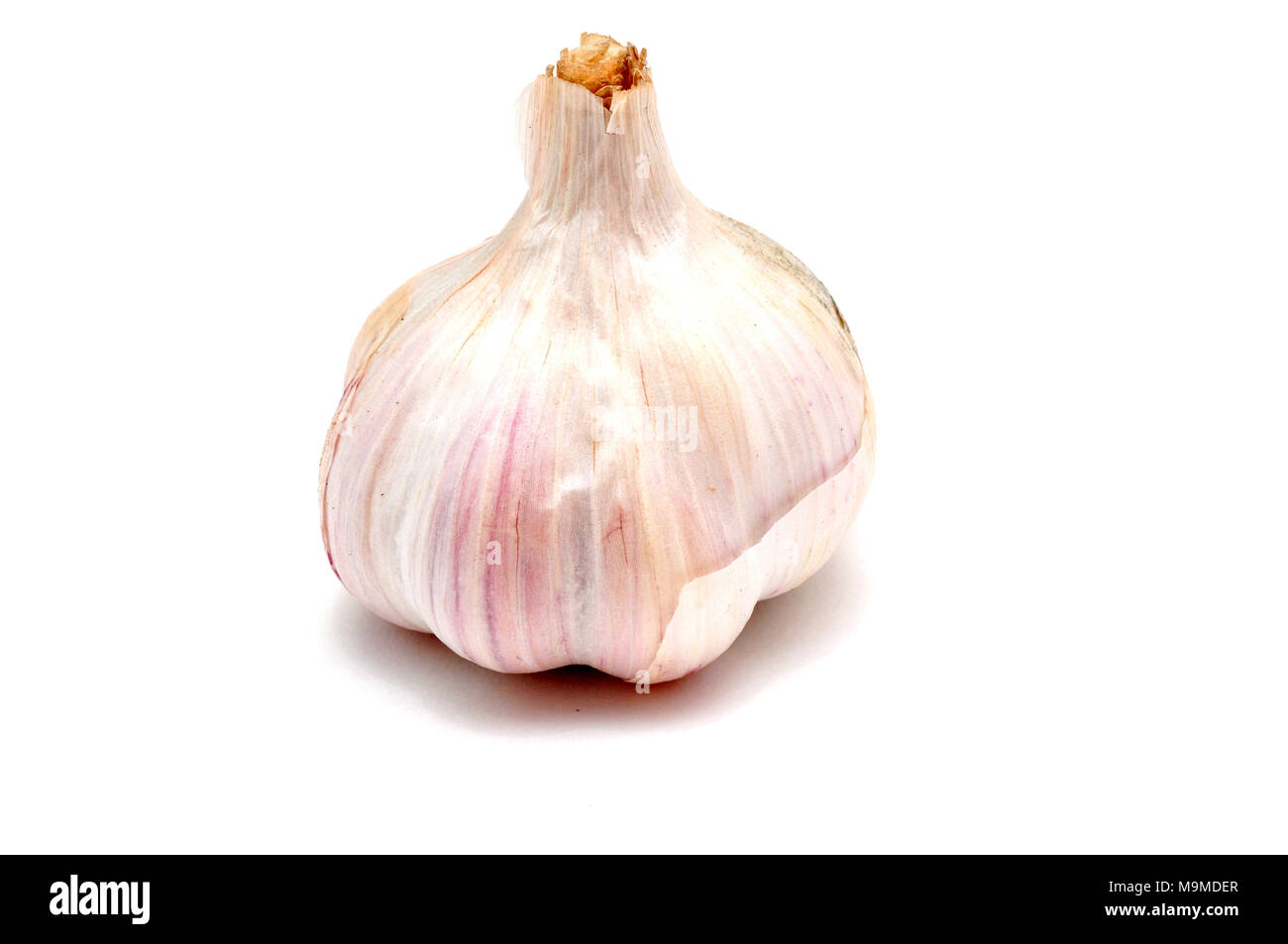 garlic on a white background Stock Photo - Alamy