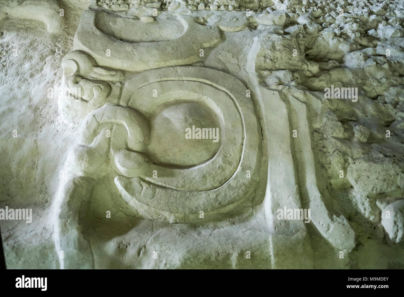 Ancient stone glyphs from the Mayan archeological site in Yaxha ...
