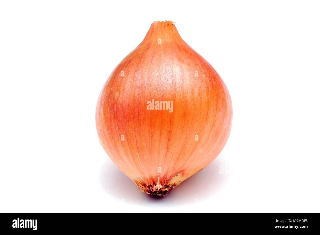 onions on a white background Stock Photo - Alamy