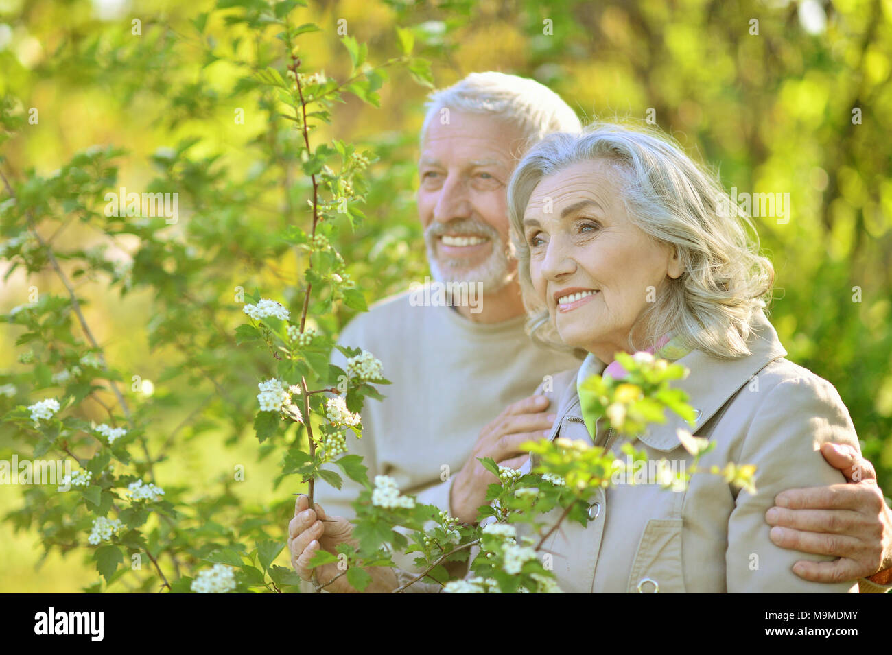 Happy couple posing in park in spring Stock Photo - Alamy