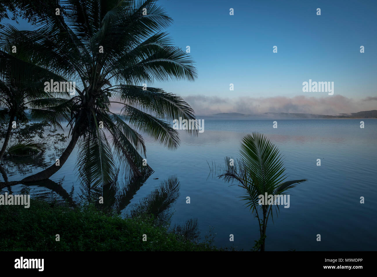 Scenic landscape of Lake Yaxha with palm tree in northern Guatemala ...