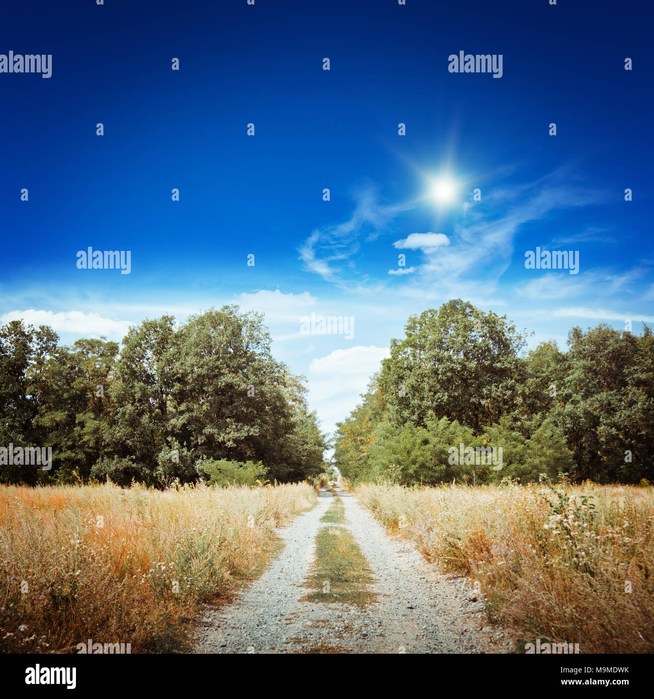 Rural road nature background Stock Photo - Alamy