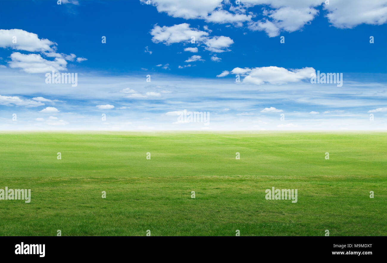 Panoramic field landscape Stock Photo - Alamy