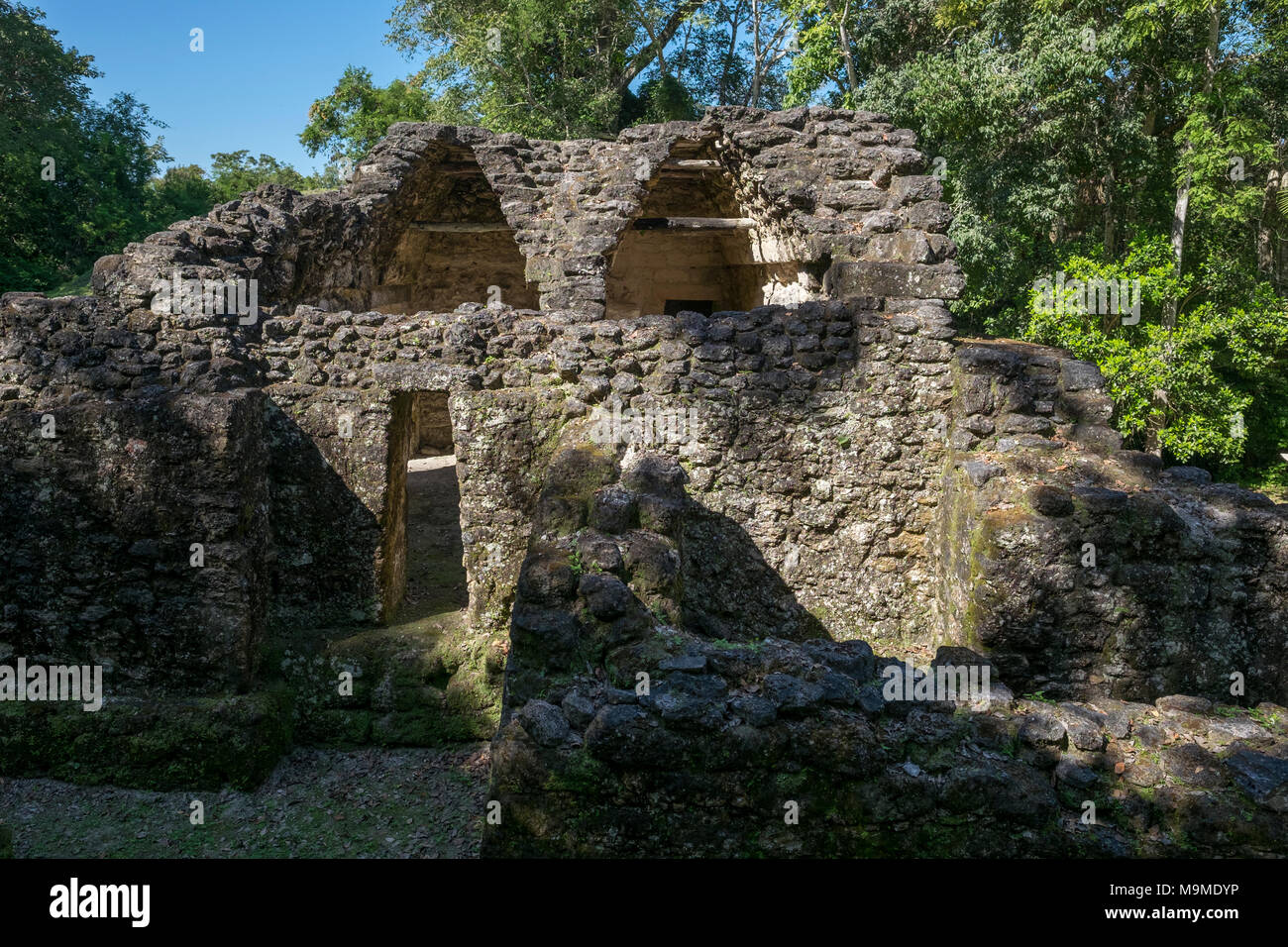 Ancient Mayan temple remains of Uaxactun, Guatemala Stock Photo - Alamy