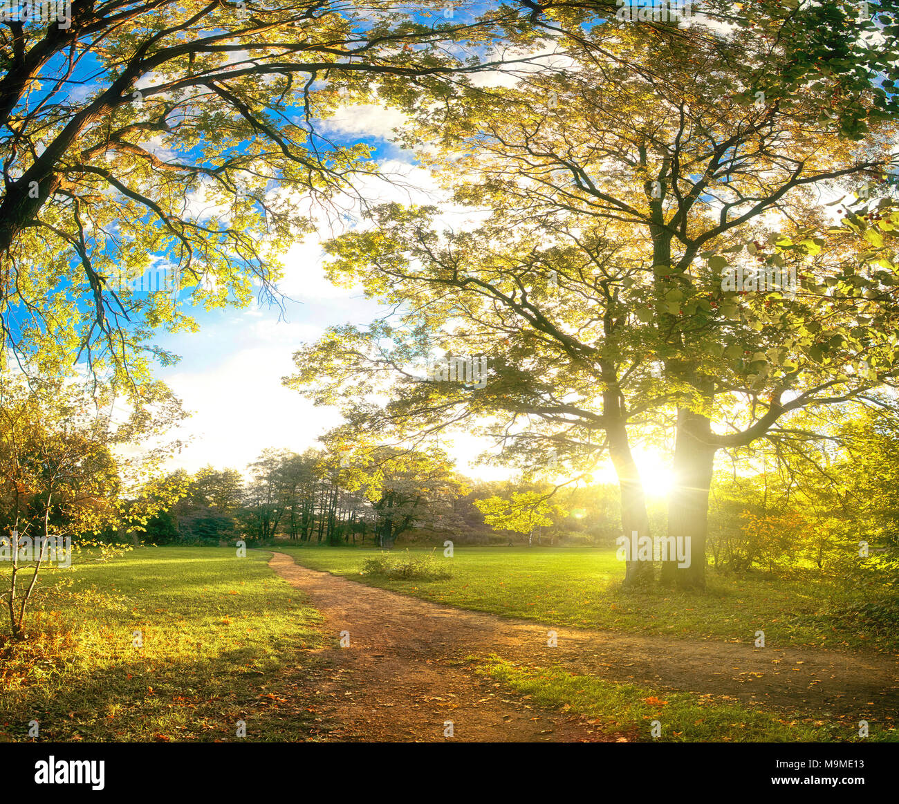 Autumn park nature background Stock Photo - Alamy