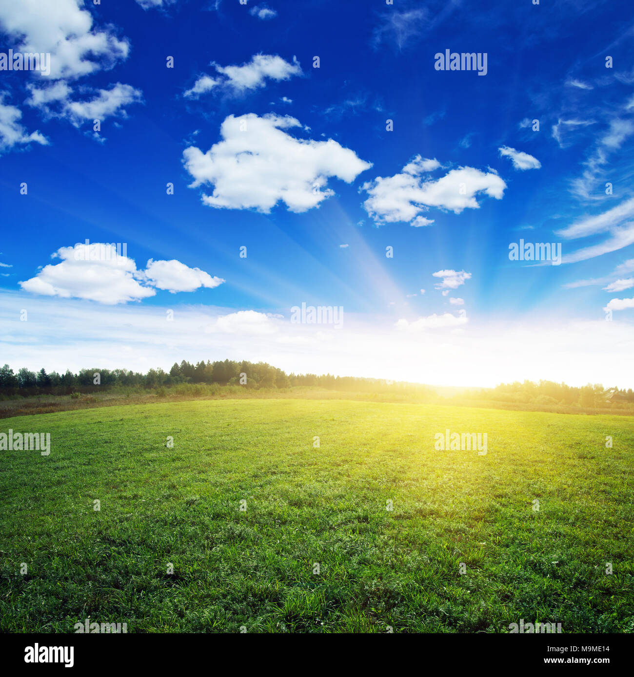Rural morning landscape hills hi-res stock photography and images - Alamy