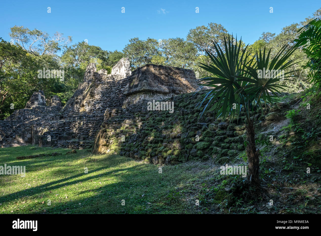 Ancient Mayan temple remains of Uaxactun, Guatemala Stock Photo - Alamy
