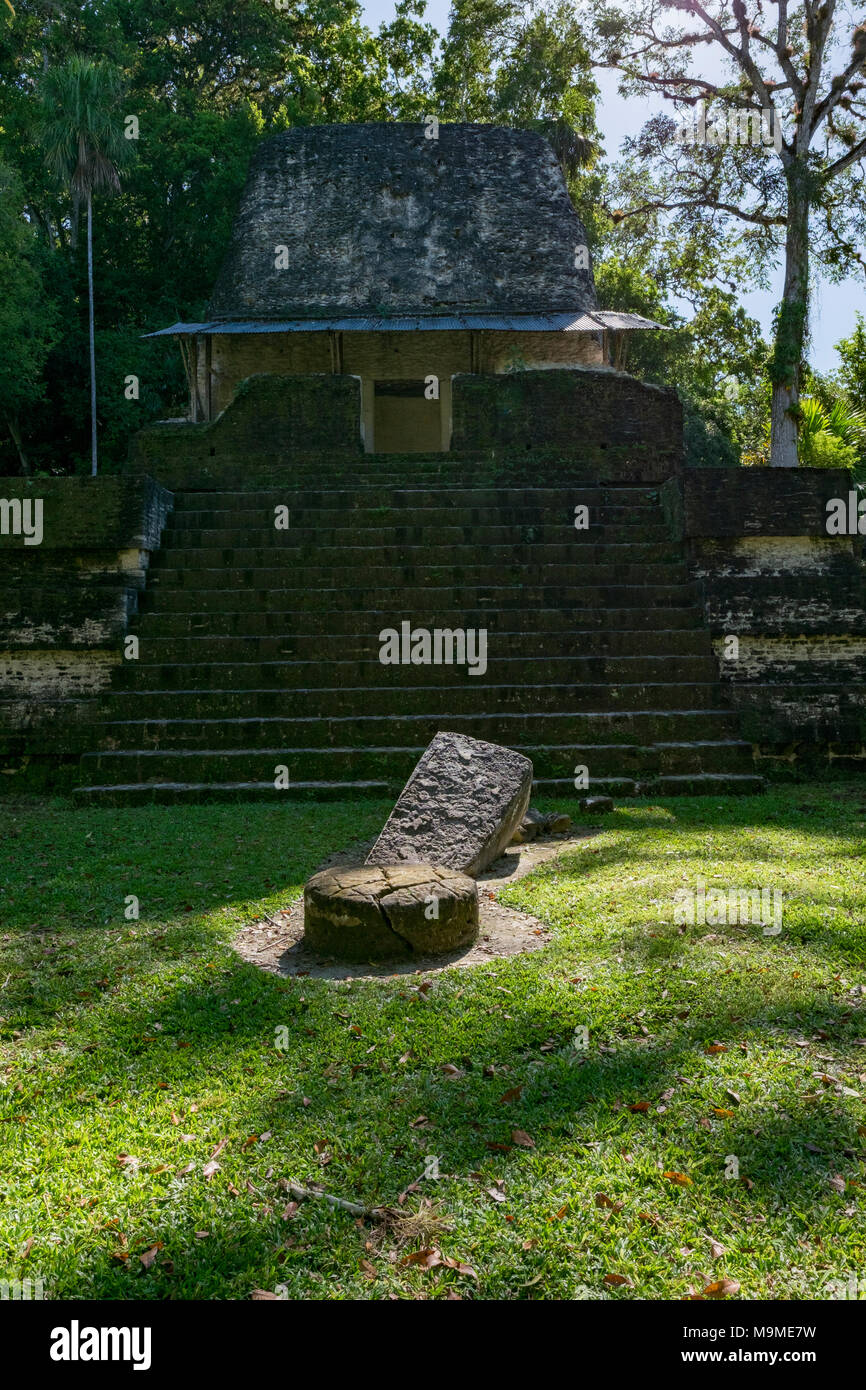 Ancient Mayan ruins of an altar and stele in Tikal, Guatemala Stock ...