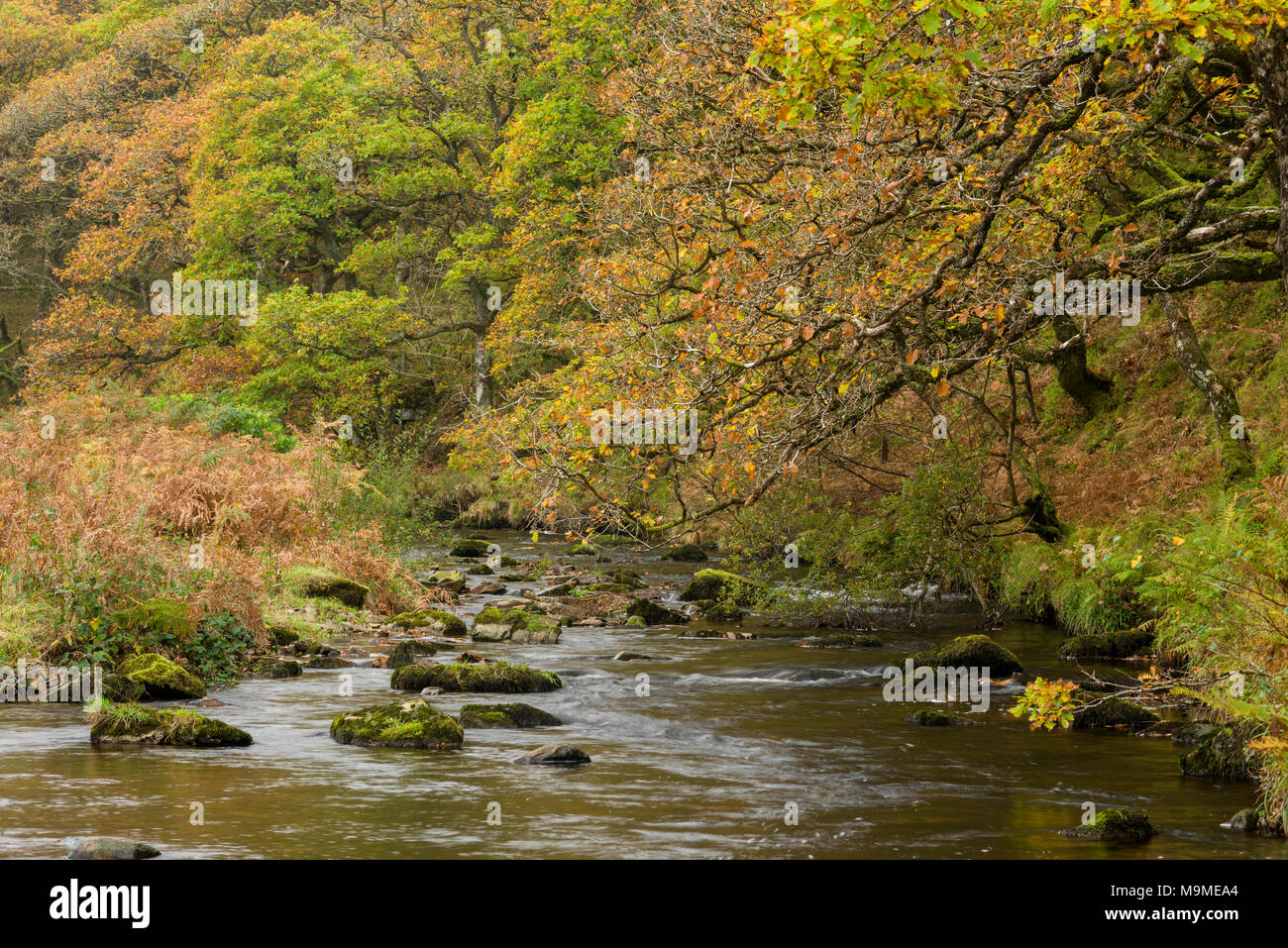 Badgworthy Water in the Doone Valley in Autumn on the Devon and ...