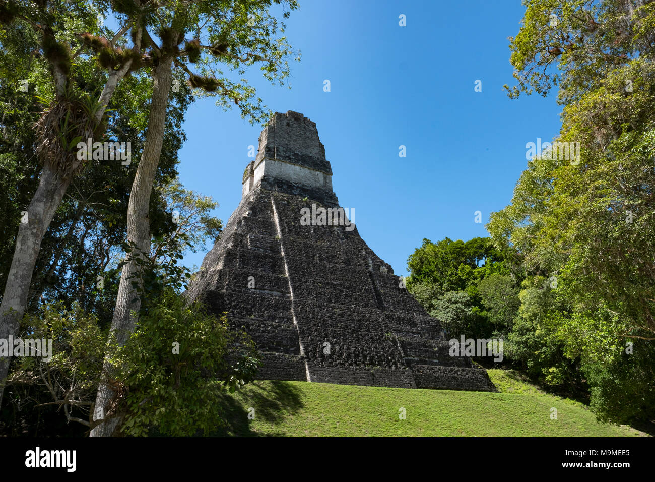 Ancient Mayan temple of Tikal, Guatemala Stock Photo - Alamy
