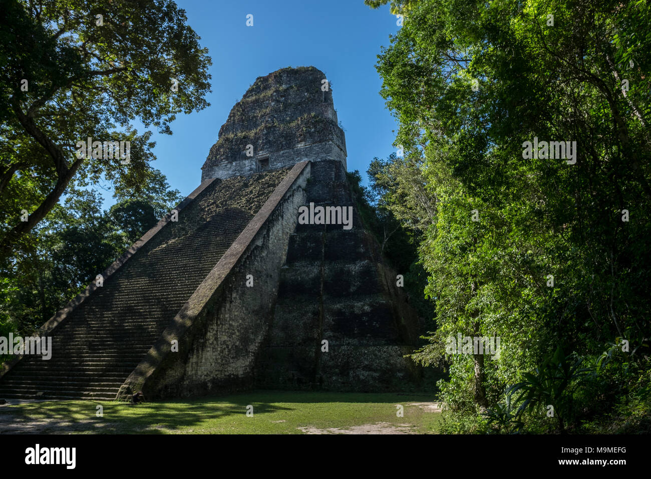Ancient Mayan temple of Tikal, Guatemala Stock Photo - Alamy