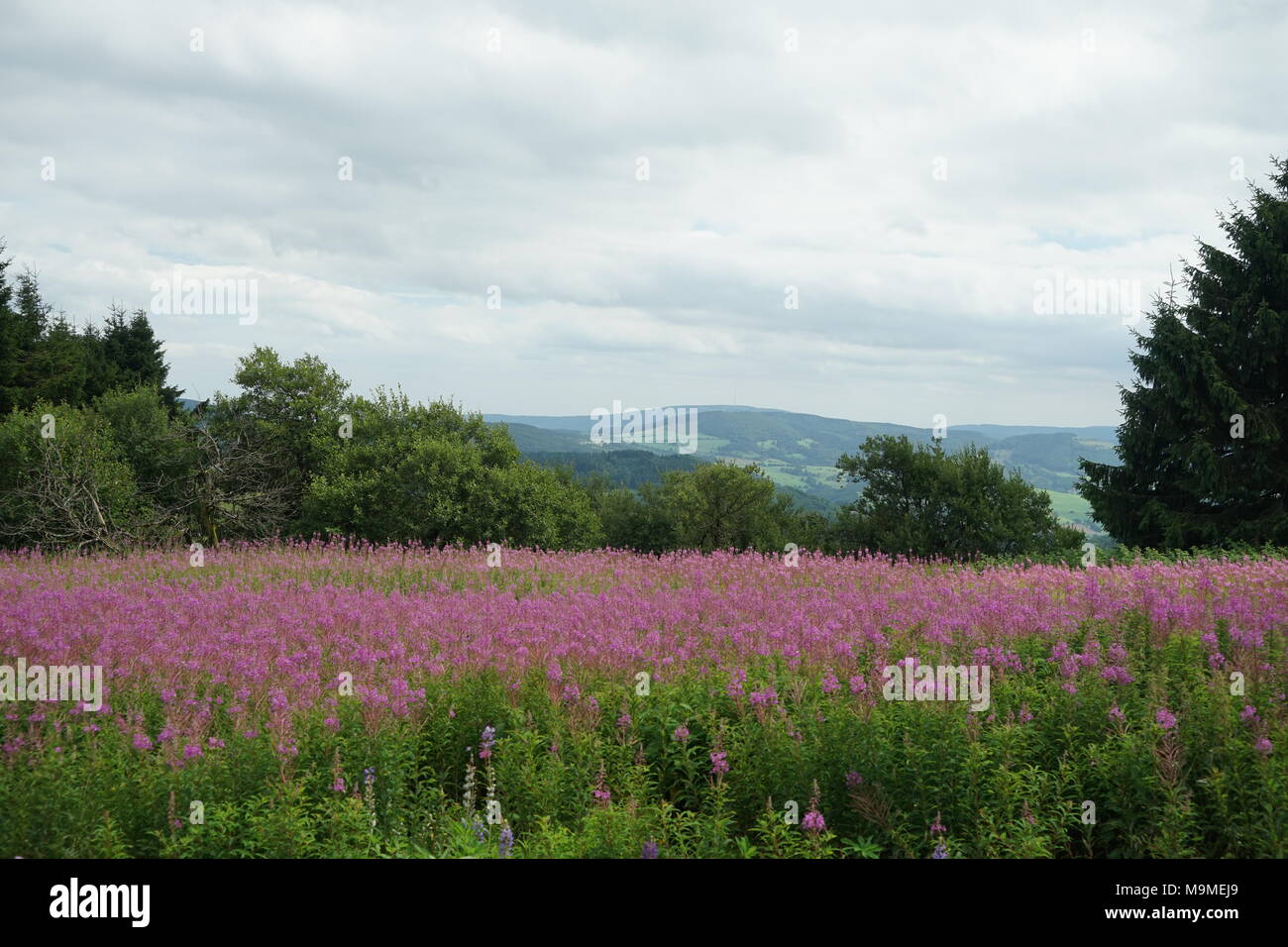 Rhon mountains hi-res stock photography and images - Alamy