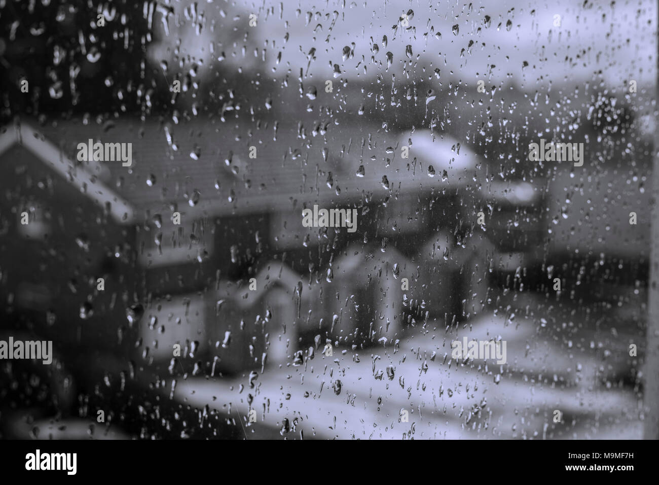 Drops of rain on a black dramatic window glass background. Rain in the ...