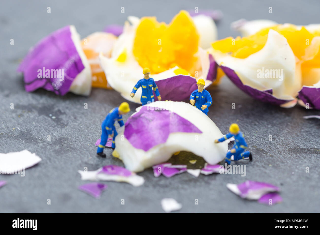 miniature worker people working on egg cleaning concept Stock Photo - Alamy